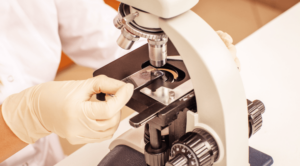 Pet Lab Testing Near Me 97224 - Narra Veterinary Clinic