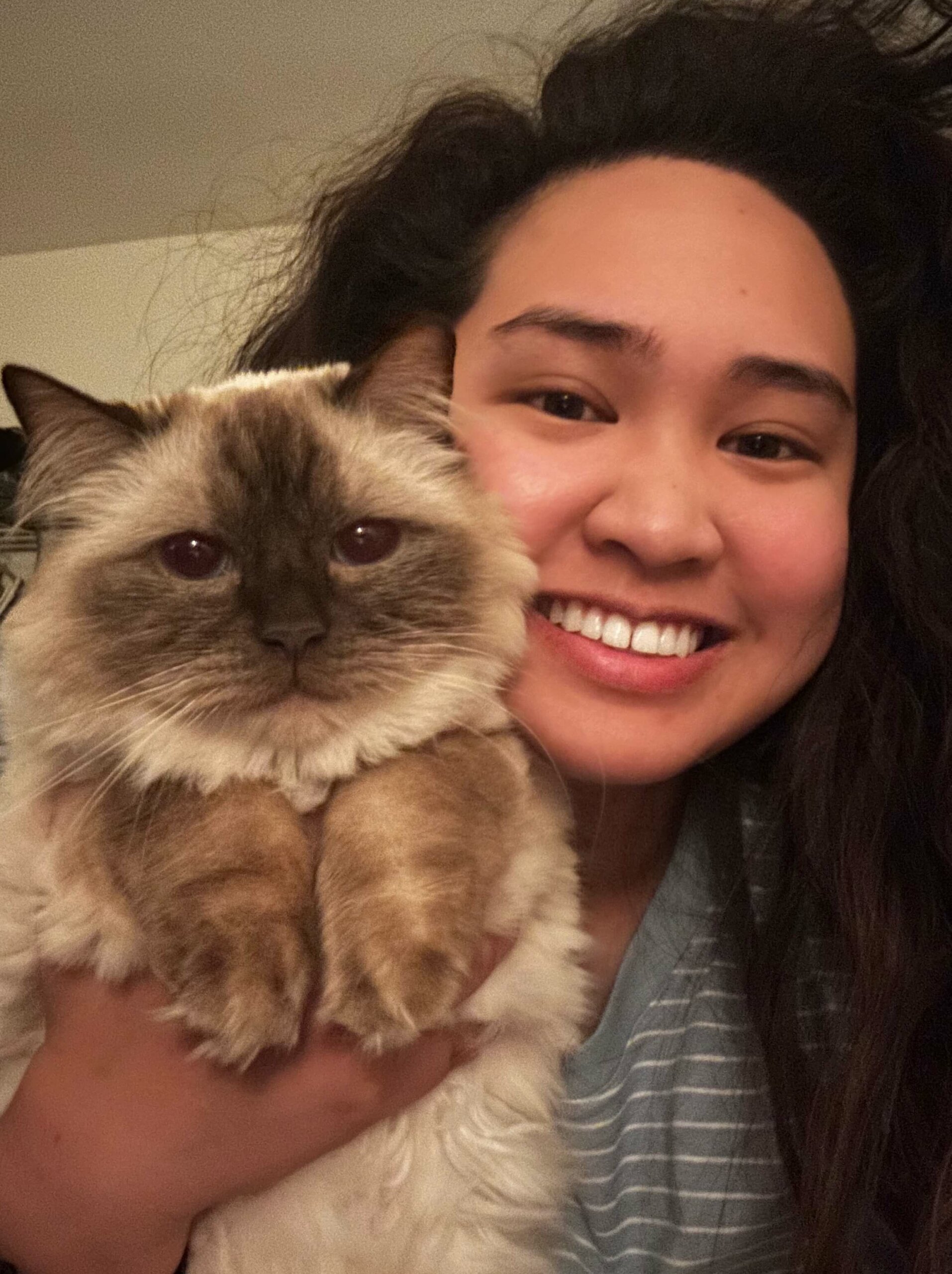 Meet the Team at Narra Veterinary Clinic